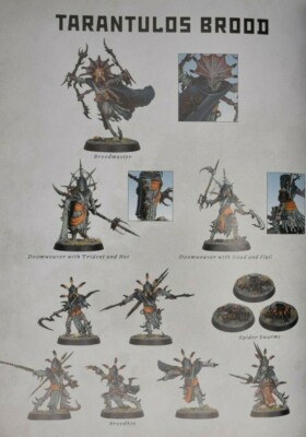 Warhammer Age of Sigmar Warcry Warband: Tarantulos Brood (11) **NoS ...