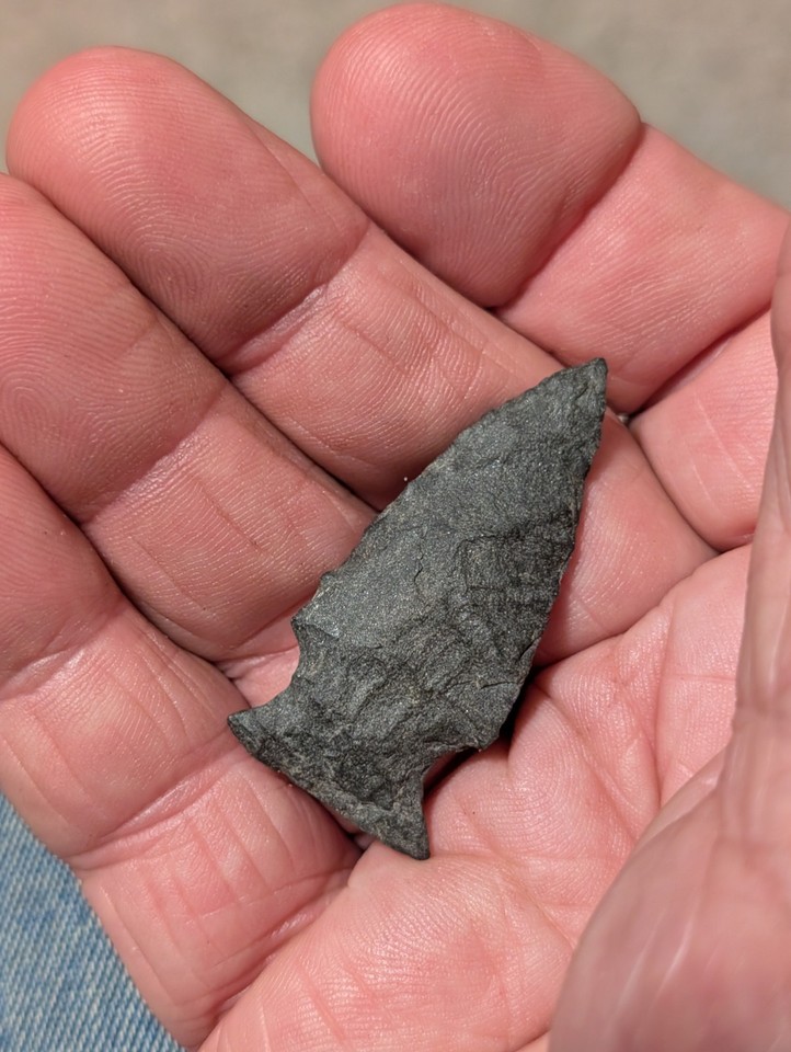 Superb Normanskill, 1 7/8", Schuylkill Co, Pa, Black Chert, Authentic ...