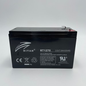 Network Expert | eBay Stores