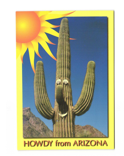 Howdy From Arizona Postcard Unposted | eBay