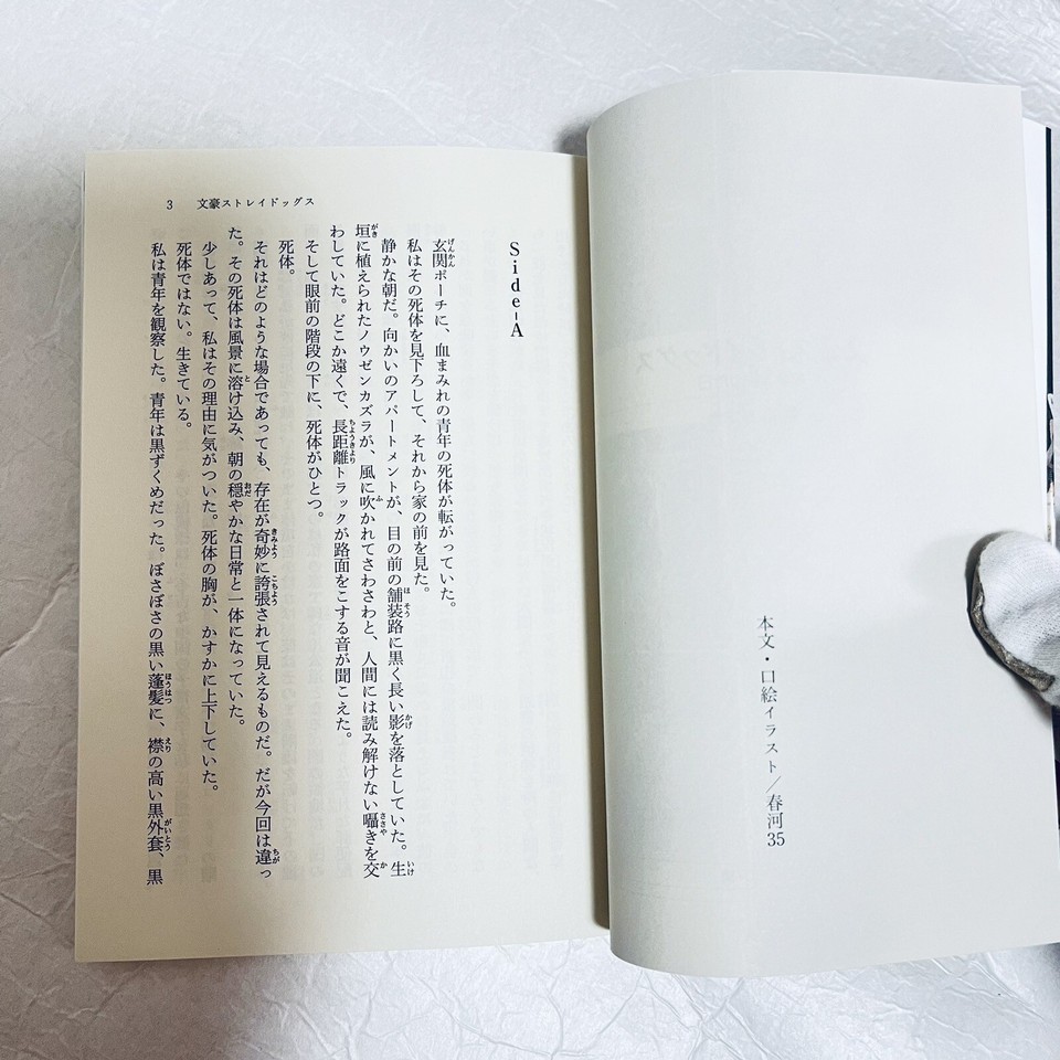 Bungo Stray Dogs : The Day I Picked Up Dazai Japanese Novel From Japan ...