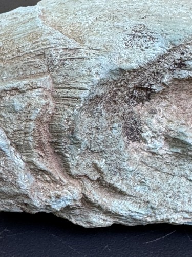 Hampton butte green Wood Knot W Rings | eBay