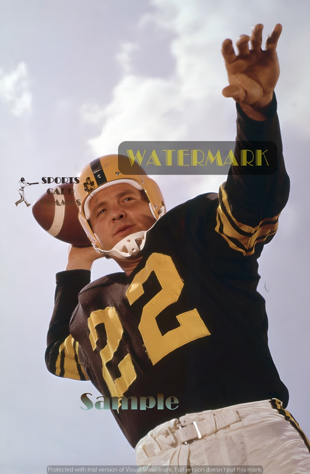 PITTSBURGH STEELERS Bobby Layne publicity Photo from negative c. 1961 ...