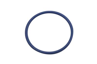 GM Genuine Parts 12693989 Engine Crankshaft Seal | eBay