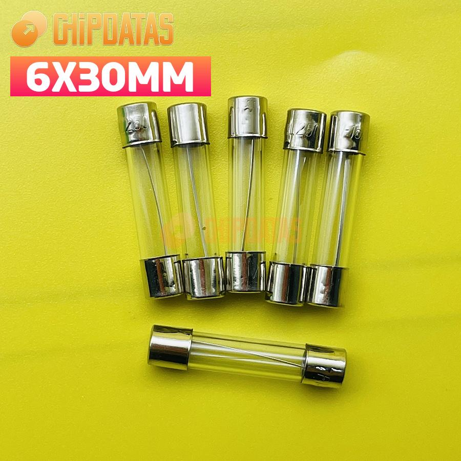 10 Amp 250 Volt Glass Fuse Pack Of 5 Glass Cartridge Fuses - F10AL250V ...
