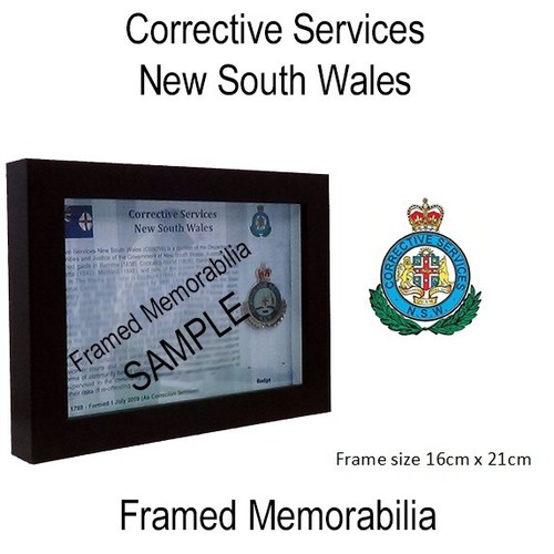 Corrective Services NSW Badge | eBay