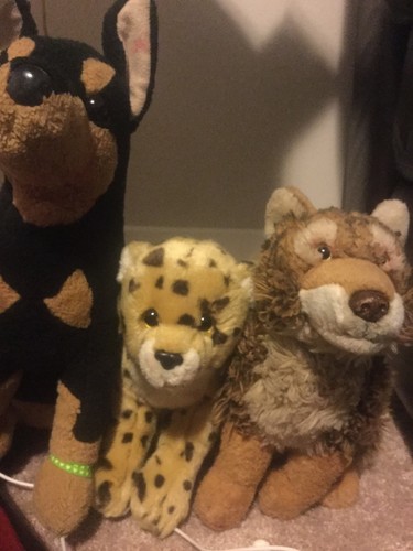 Webkinz Signature Cheetah for sale online | eBay