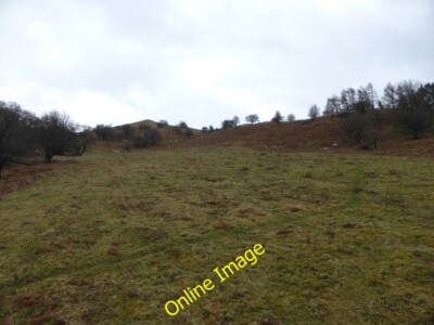 Photo 6x4 Rough grazing beside the River Vyrnwy Dolanog The landscape ...