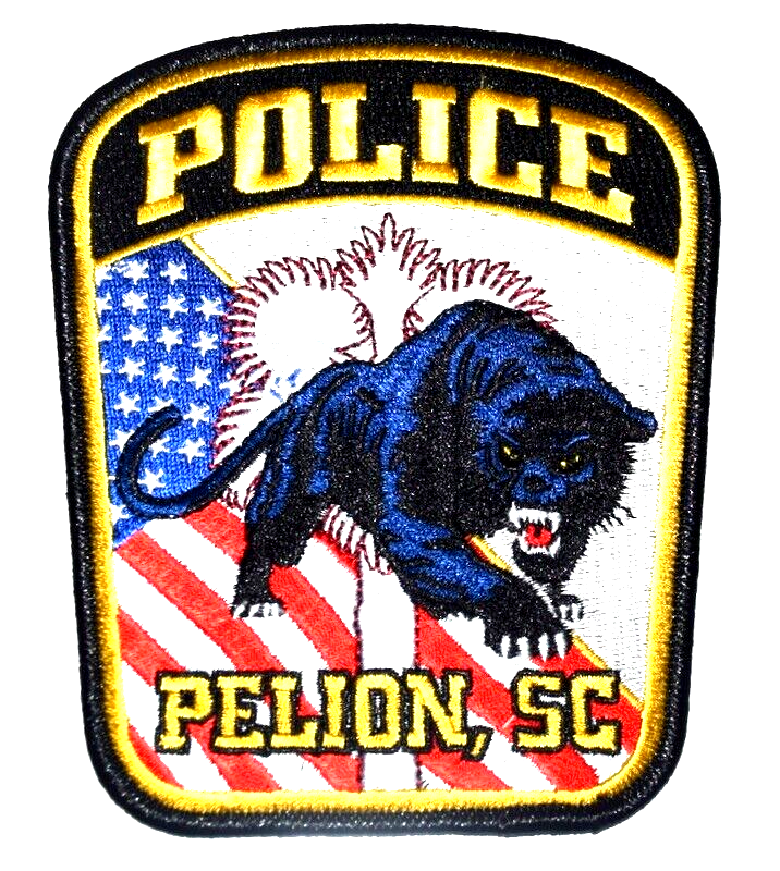 Pelion Logo