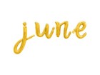JUNE Cursive Letter Balloon Banner - Birthday Month Party Supply ...