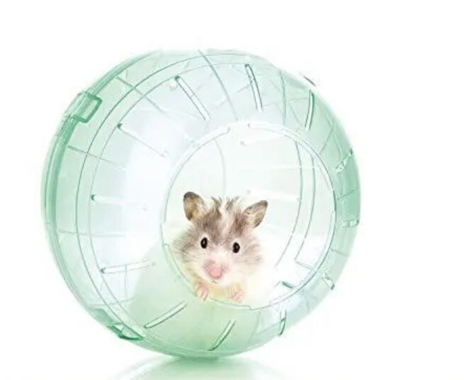 Kaytee 7" Moon Glow Run-About Exercise Ball For Pet Hamsters & Gerbils ...