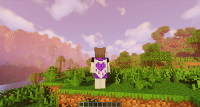 Minecraft Purple Heart Twitch Cape / Umhang Code | Java & Bedrock | eBay.de