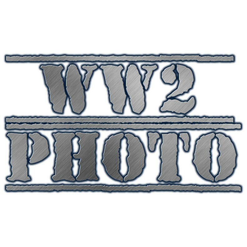 cat in military uniform WW2 Photo Glossy 4*6 in W008 | eBay