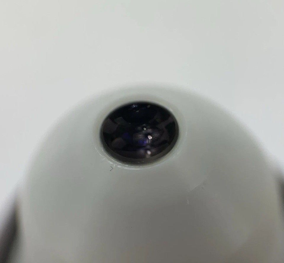 Olympus Microscope Objective LUMPlanFL / IR 60x W Water Immersion RMS ...