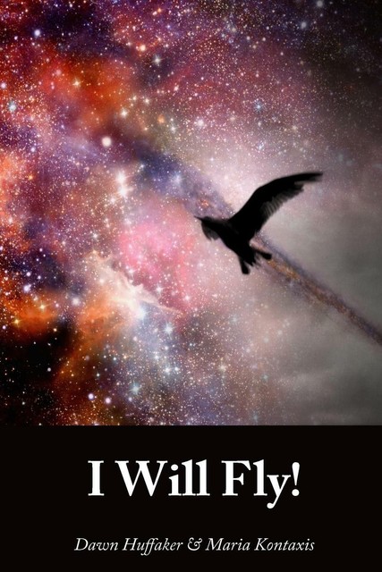 I Will Fly von Maria Kontaxis (2015, Taschenbuch) online kaufen | eBay