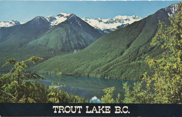 Trout Lake BC British Columbia Lardeau Range Unused E. Anderson ...