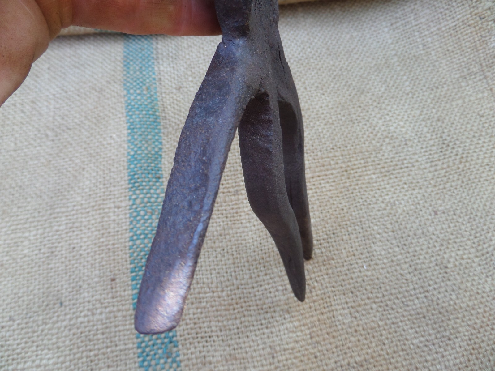 ANTIQUE ROOT PULLER BEET EXTRACTING TOOL DIGGING BEETROOT VINTAGE HAND ...