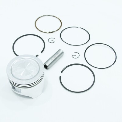 Brand New Replacement Piston And Rings 4.0 HP Compatible With Honda ...