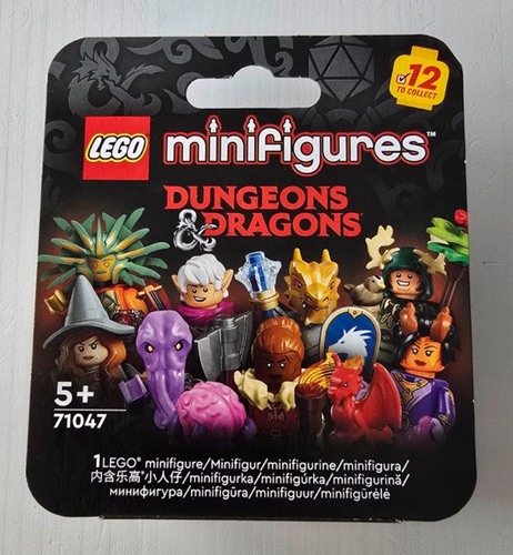 LEGO Dragonborn Paladin 71047 New, sealed box | eBay UK