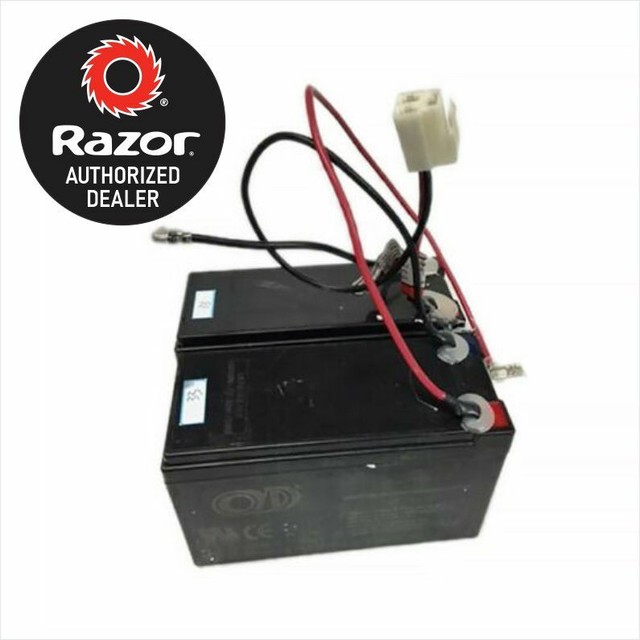 Razor Electric Scooter Battery E200 E300 W13112430185 for sale online ...