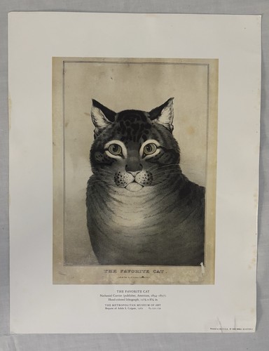 Nathaniel Currier, The Favorite Cat, Metropolitan Museum Of Art Poster ...