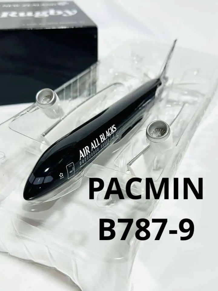 Pacmin 1200 B787-9 Air New Zealand All Blacks Livery Display Model ...