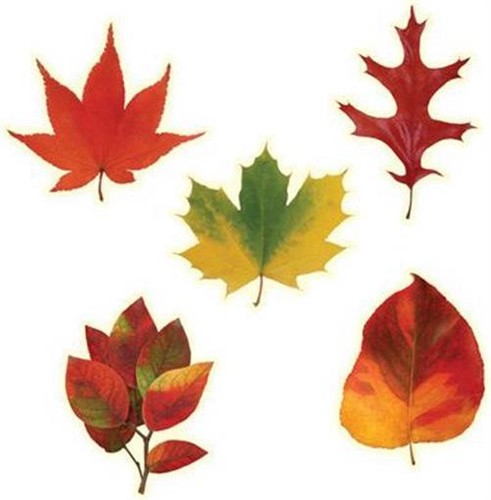 Mini Leaf Cutouts 10 Pack Fall Autumn Thanksgiving Party Decorations ...