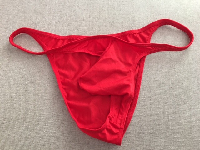 JAXFSTK unlined men's swimwear/posing/underwear briefs | eBay