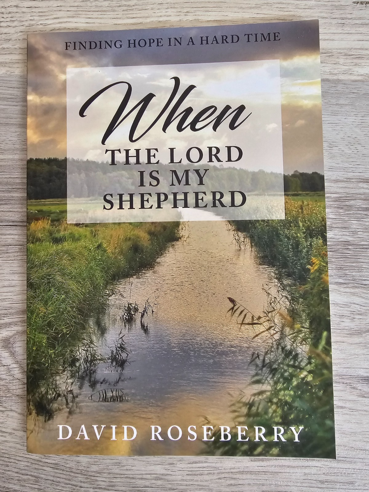 Ordinary Ways of God by David Roseberry (2021, eBook) for sale online ...