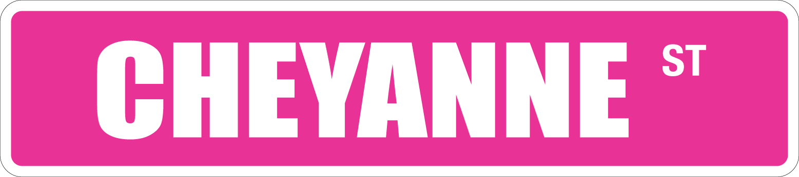 *Aluminum* Cheyanne 4" x 18" Metal Novelty Street Sign SS 870 | eBay