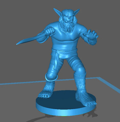 Adventurer: Bugbear Monk 2 | eBay Australia