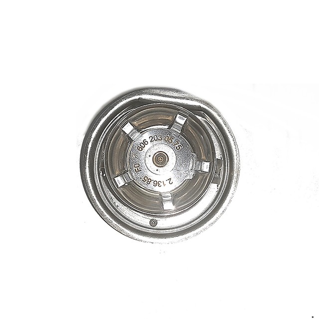 Thermostat Water Pump 6062030275 for SsangYong KYRON Istana for sale ...