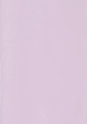 100 Sheets LILAC MAUVE Pastel Purple 80gsm A4 Paper Coloured Printer ...