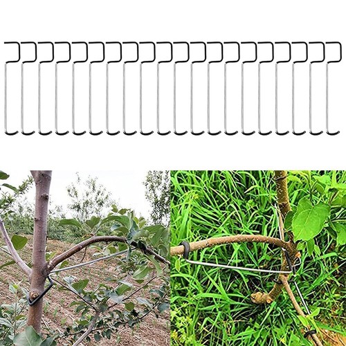 Optimize Branch Alignment with Stainless Steel For Garden Branch ...