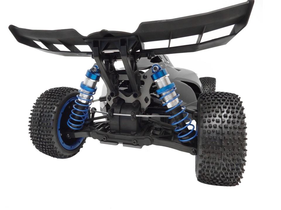 1/5 Scale 30 Degree North BWS-5B 4WD ROLLER Buggy DNB (clear body) | eBay