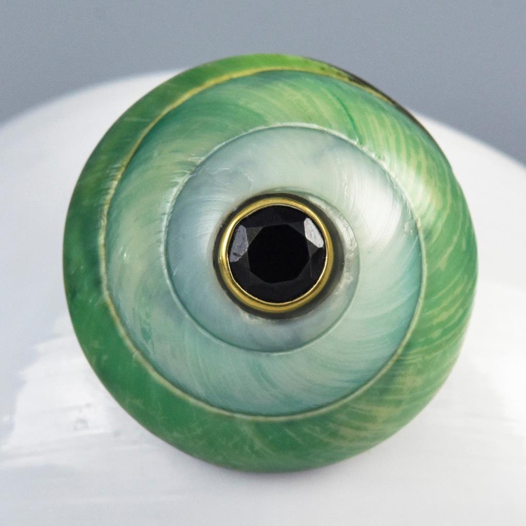 Evil Eye Design Natural Green Land Snail Asperitas bimaensis Black ...