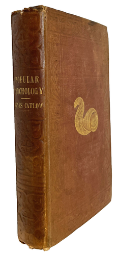 Popular Conchology by Agnes Catlow Shell Cabinet Arranged Victorian ...