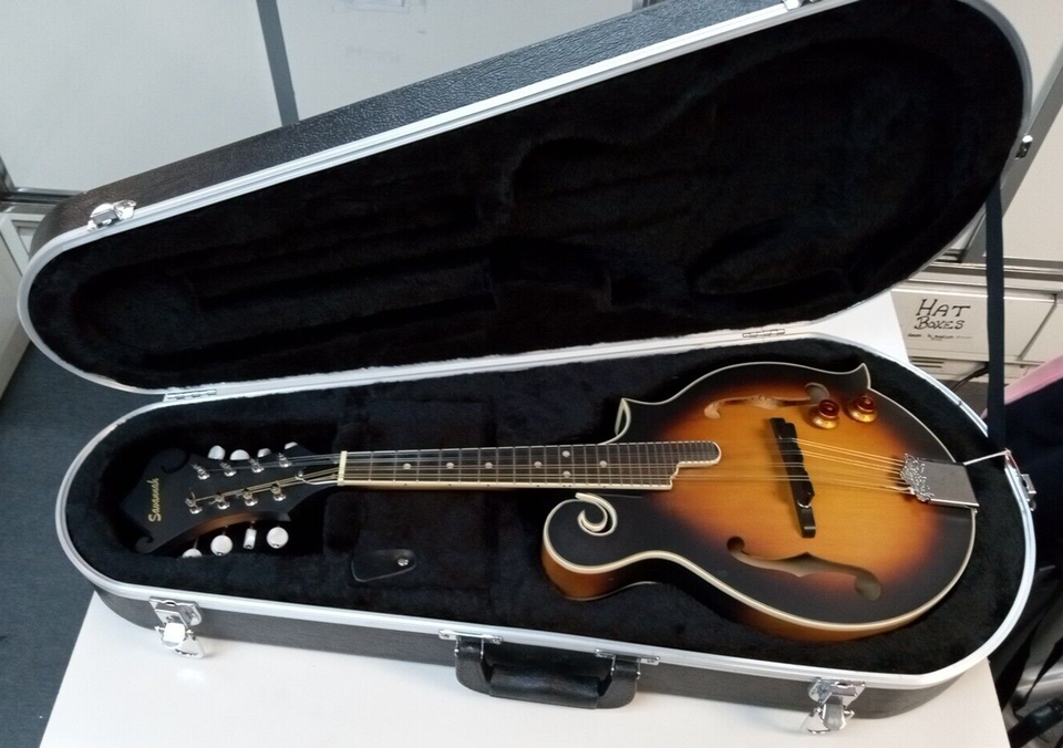 PLASTIC Hard Shell Mandolin Case For F And A Style Mandolins New TRAVEL ...