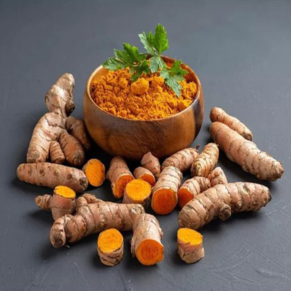 15+ fresh turmeric root plant (curcuma Longa) Live rhizomes Ready for ...