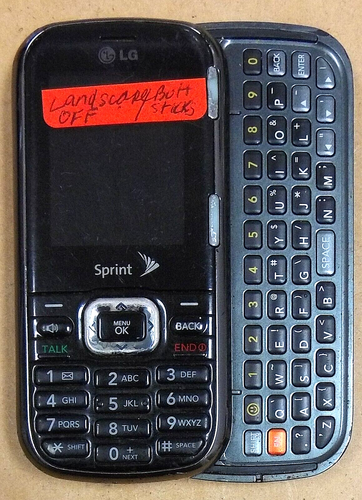 LG Rumor 2 II LX265 - Gray Floral Print ( Sprint ) Rare Slider Cell ...