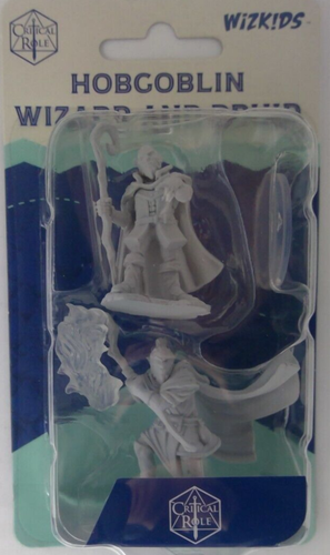 CRITICAL ROLE MINIATURES ~ HOBGOBLIN WIZARD & DRUID | eBay Australia