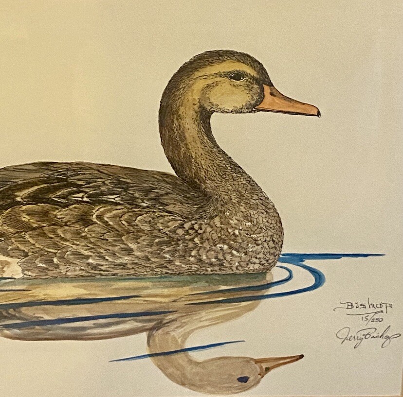 JERRY BISHOP Artist Signed Numbered Duck 15/250 Art limited edition | eBay