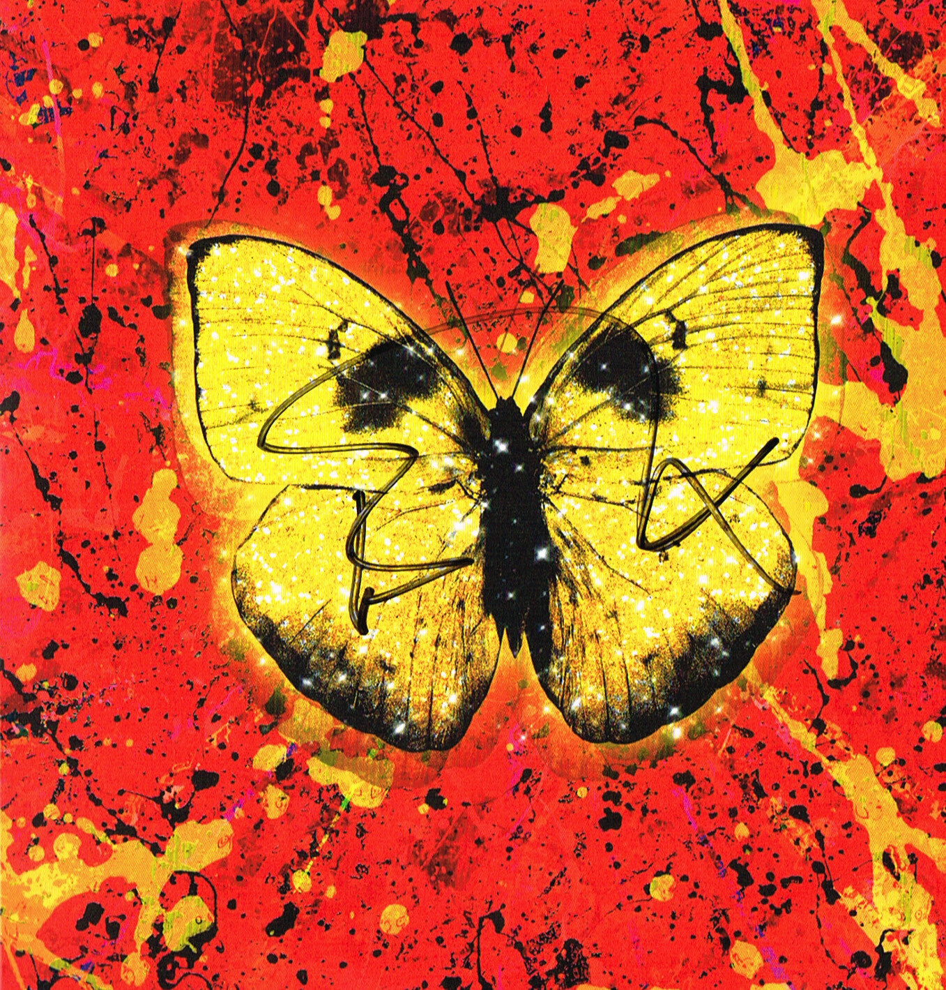 Ed Sheeran SIGNED Shivers CD Single 1 COA | eBay