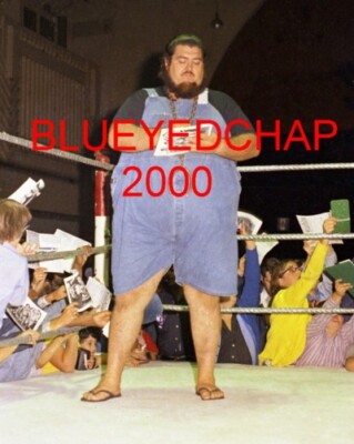 HAYSTACKS CALHOUN WRESTLER 8 X 10 WRESTLING PHOTO NWA WWWF | eBay
