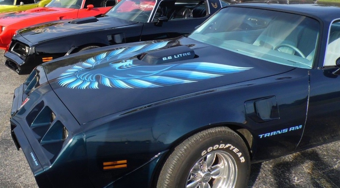 1978 - 81 TRANS AM COMPLETE DECAL KIT W/ 1 PC HOOD BIRD - BLUE - GM ...