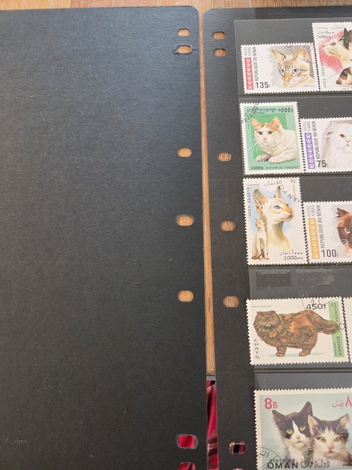 3 Sheets of 69 Assorted Cat and Kitten stamps from various countries | eBay
