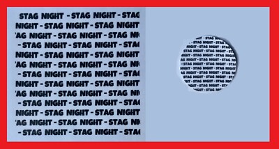 24 White 40mm RF16 Stag Do Words Labels Stag Night Party Stickers | eBay UK