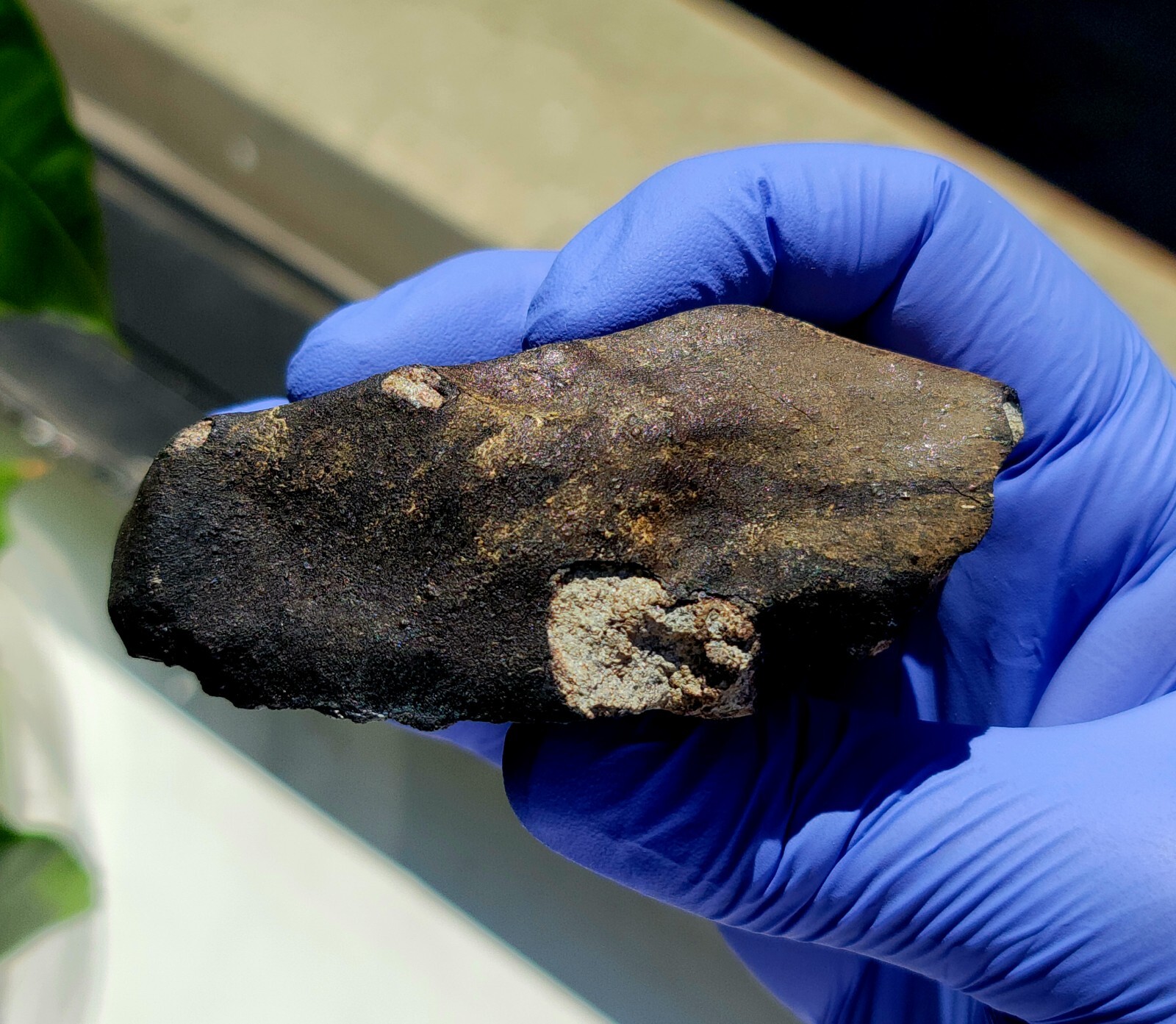 Meteorite**Georgia, Junction City**231.40 gram Fresh Individual ...