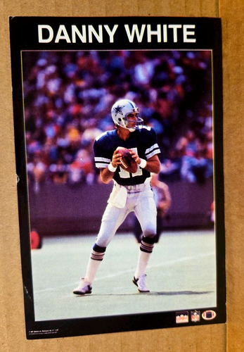 Danny White 1980's Promo Starline 3x5 Mini Poster Dallas Cowboys - VG ...