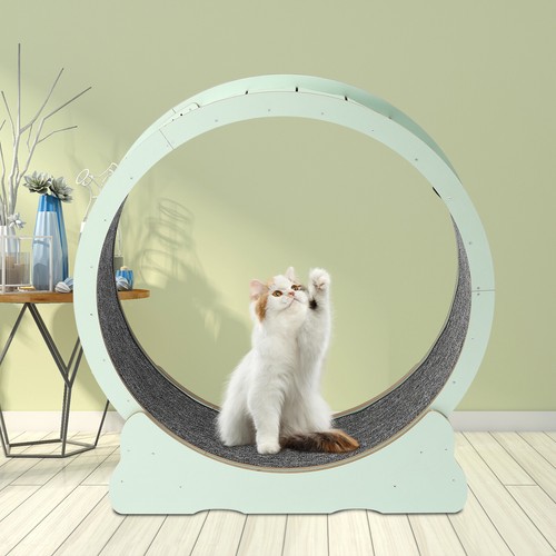 Modern Cat Wheel Round Cat Exercise Wheel for Indoor Cats With Floor ...